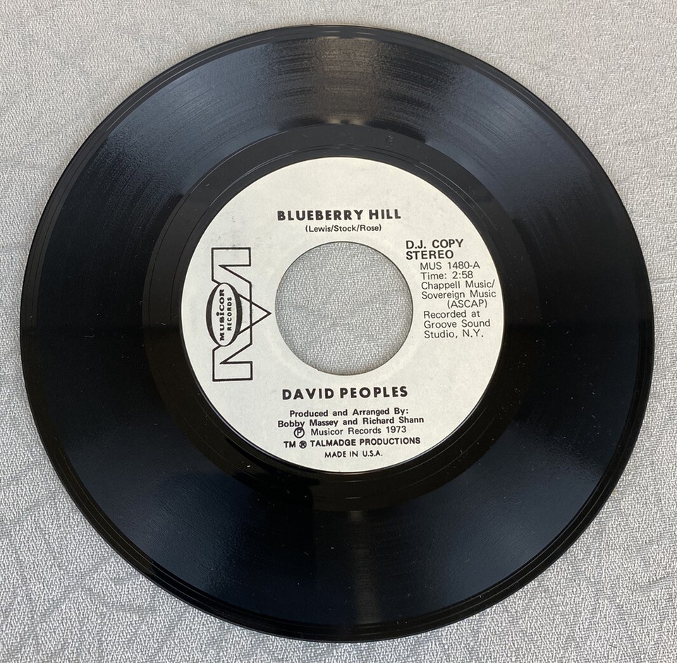 DAVID PEOPLES - BLUEBERRY HILL -RARE 45 VINYL RECORD (TY-123) | eBay