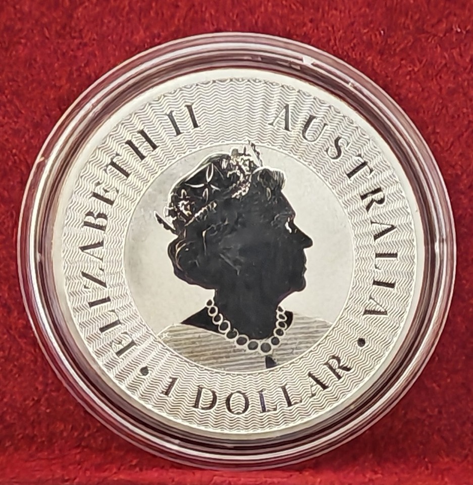 2021 Australian Kangaroo 1oz 999 Pure Silver Coin Very Good Condition ...