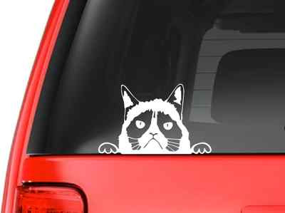 Peeking Grumpy Cat (W14) Funny Vinyl Decal Sticker Car/Truck Laptop ...