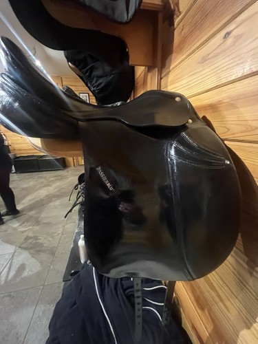 Passier Blu Dressage Saddle | eBay