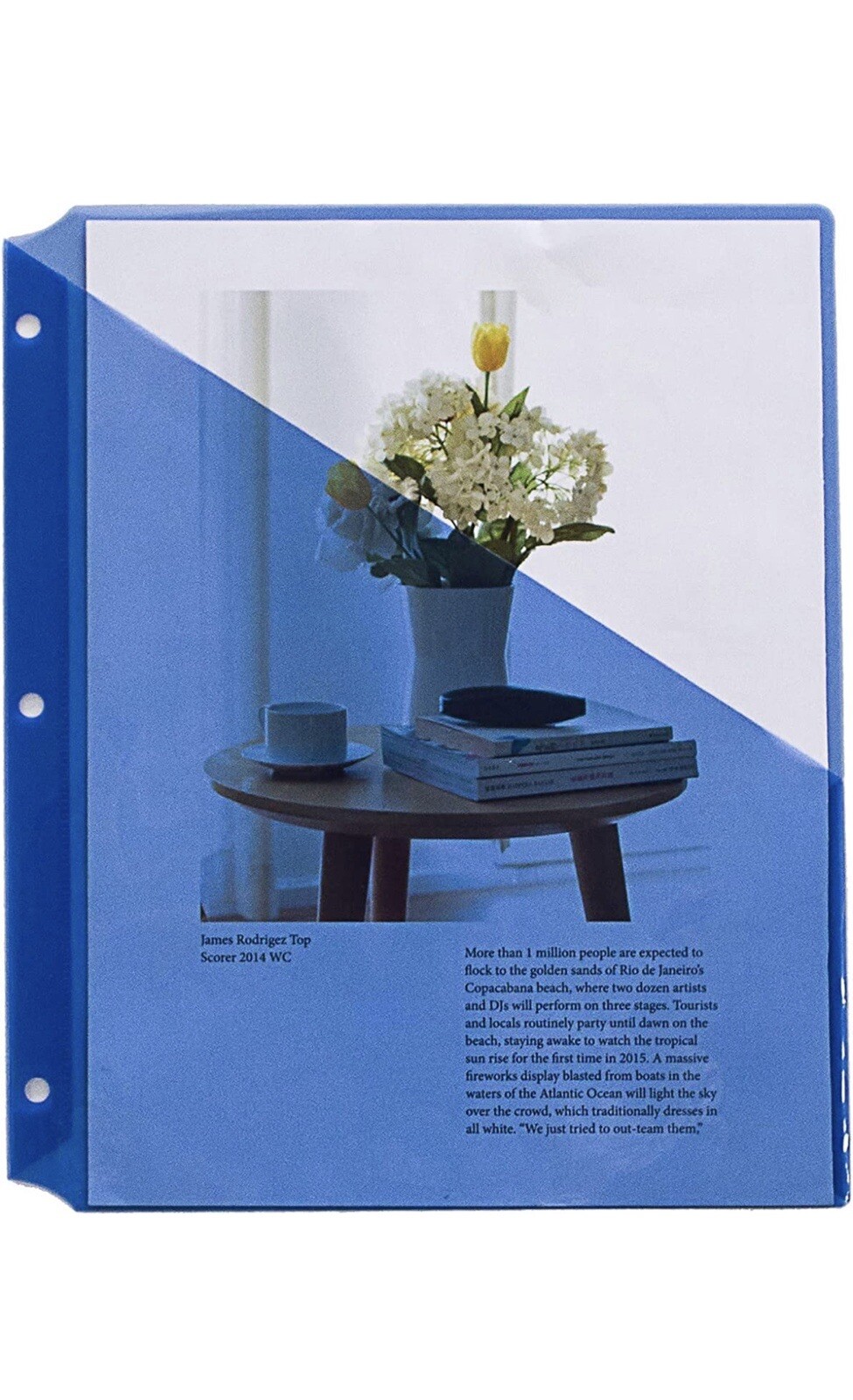 Seashell 25 Pack Poly Translucent Slash File Jacket,3 Hole Punch, J03 ...