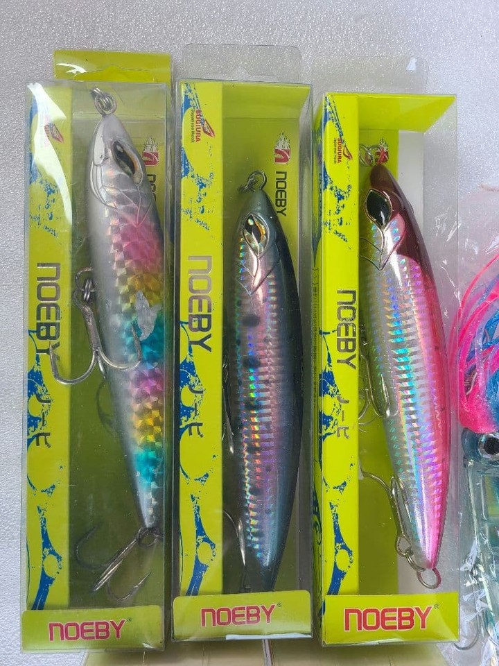 Top Hopper, Amberjack, Japanese amberjack, Yellowtail, Blue-runner ...