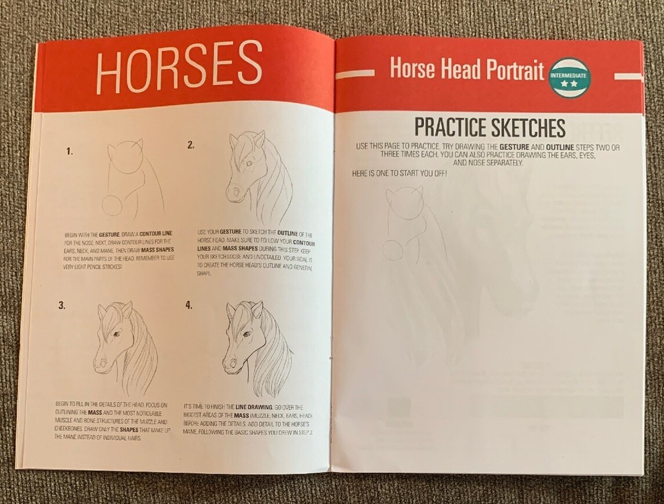 Horses iDRAW Step-By-Step Tutorial 24 pages Learn to Draw Books | eBay