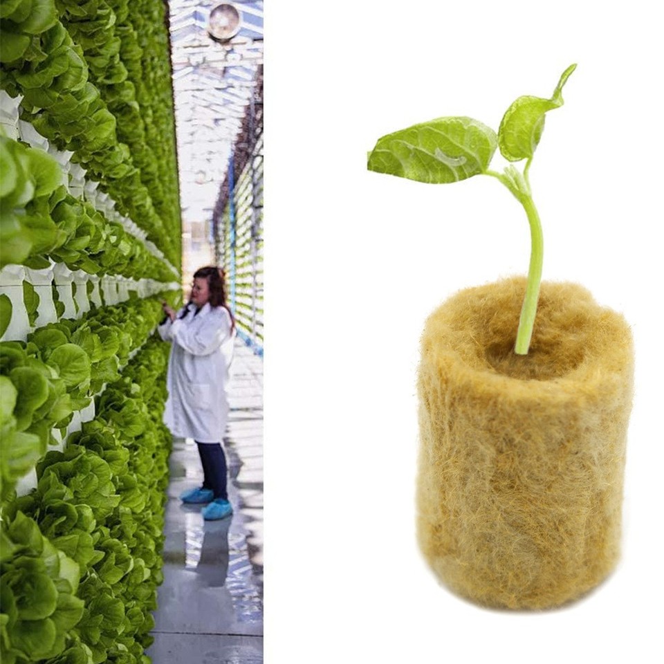 100pcs Round Rockwool Macro Plugs Hydroponic Grow Media Cloning Planter ...