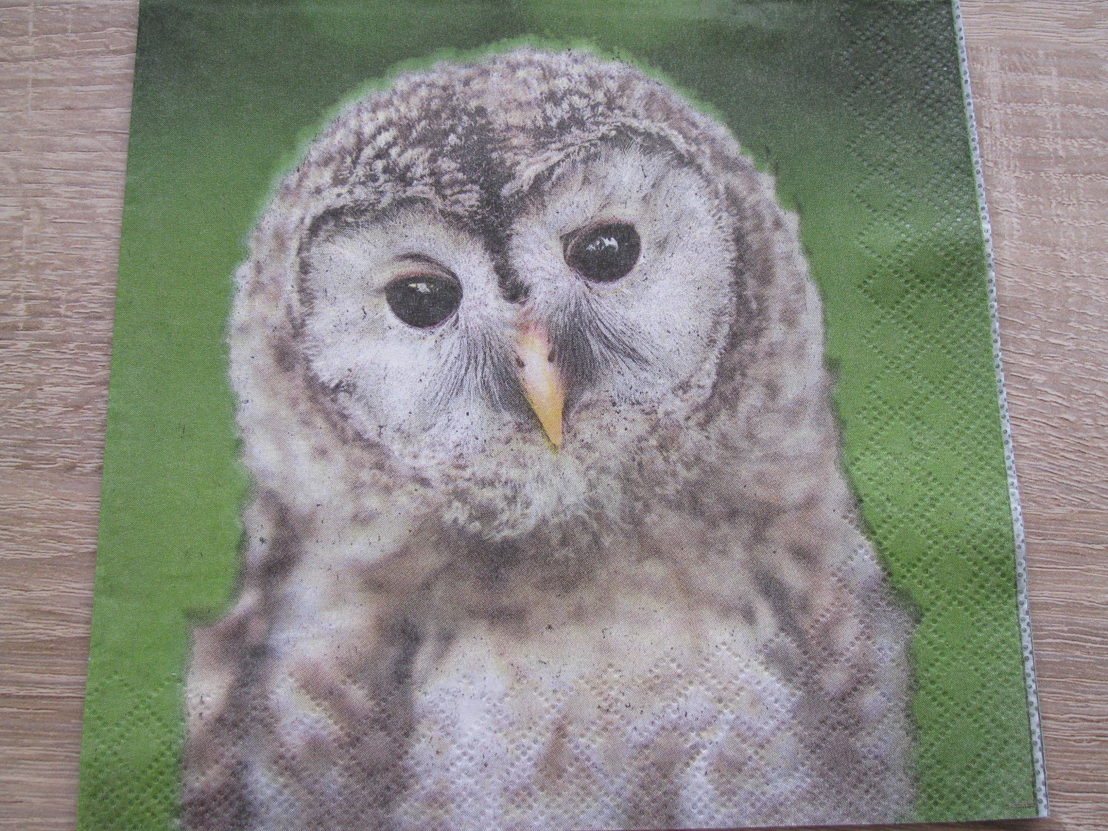 4 Servietten Eule, Kautz süß | eBay.de