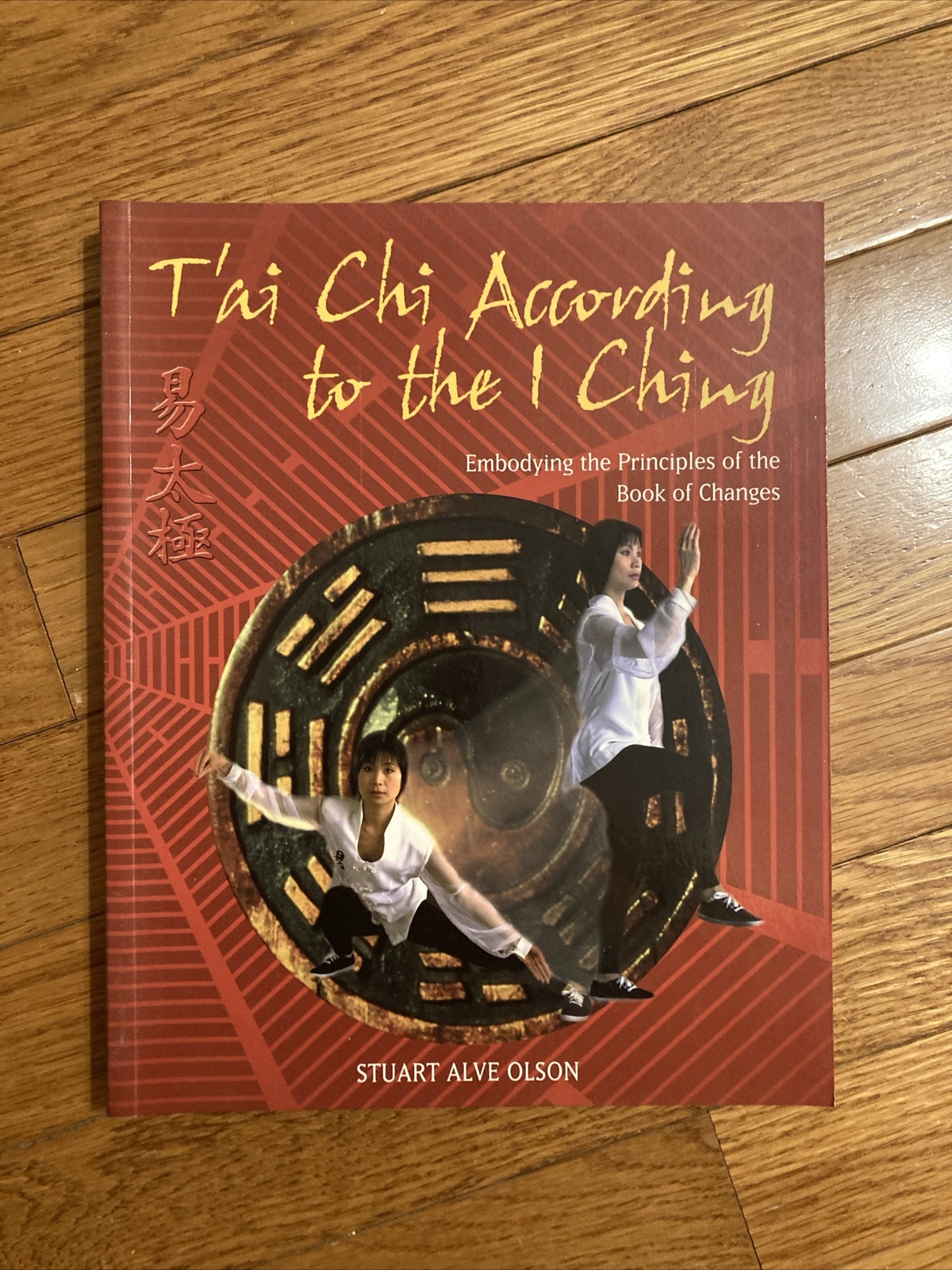 T'ai Chi According to the I Ching : Embodying the Principles of the ...