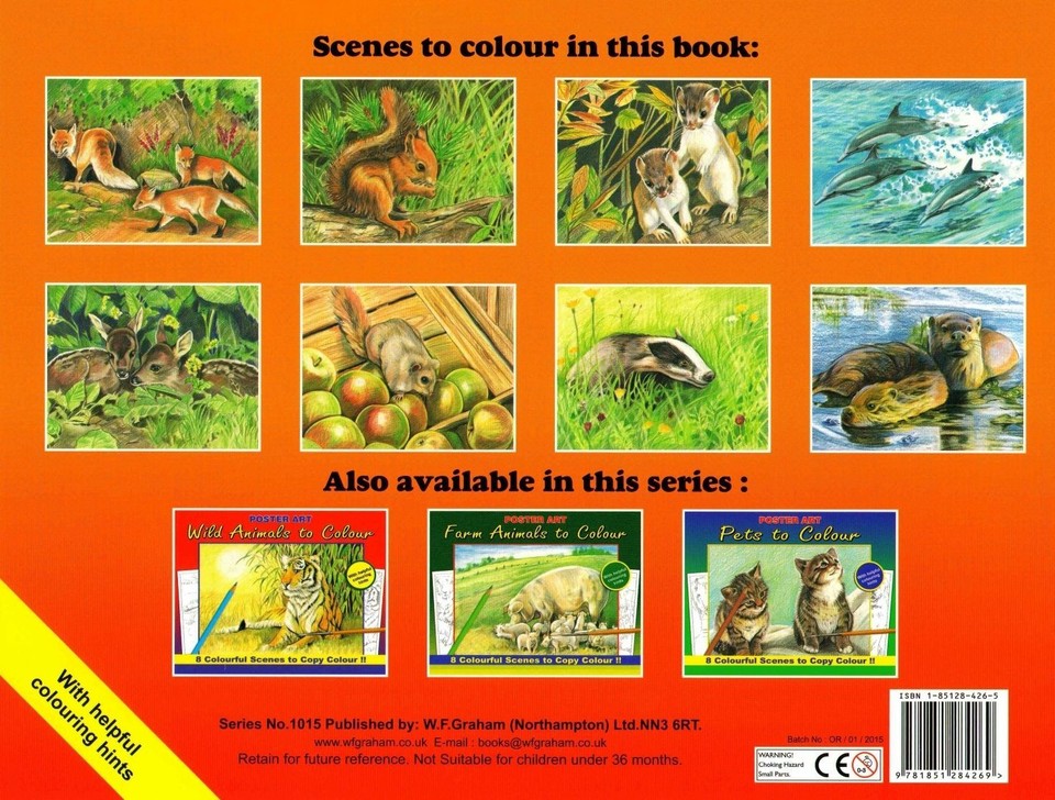 Adult Colouring Books Pro Advance Level Artist Expert Quality Painting ...