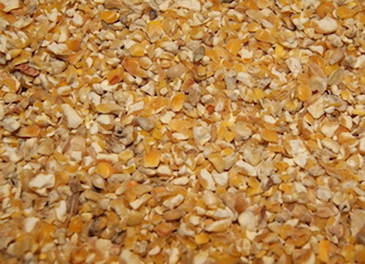 CUT/KIBBLED MAIZE(GM FREE) 20kg and 25kg poultry food or fishing bait ...