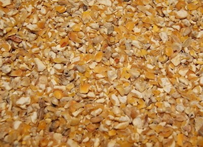 CUT/KIBBLED MAIZE(GM FREE) 20kg and 25kg poultry food or fishing bait ...