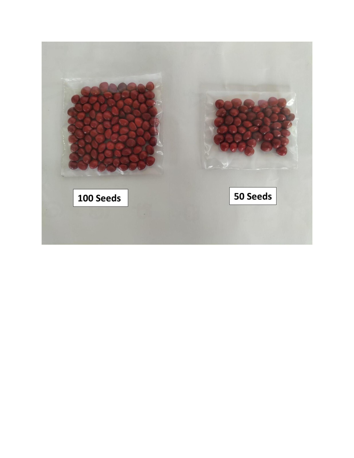 Madatiya Seeds Adenanthera Pavonina 100% Ceylon Organic Natural Sri ...