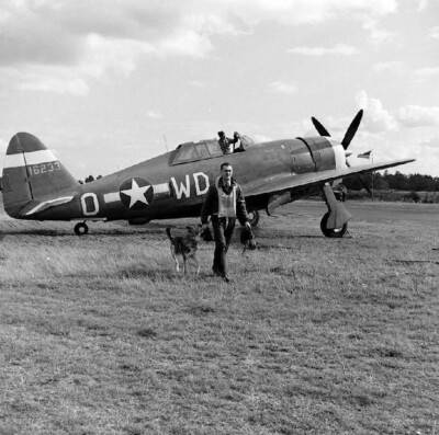 WW2 WWII Photo P-47 Thunderbolt Razorback Pilot & Dog USAAF World War ...