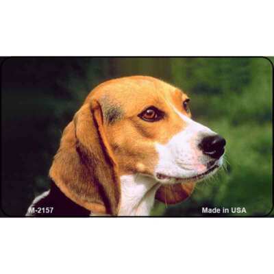 Beagle Novelty Metal Magnet M-2157 | eBay