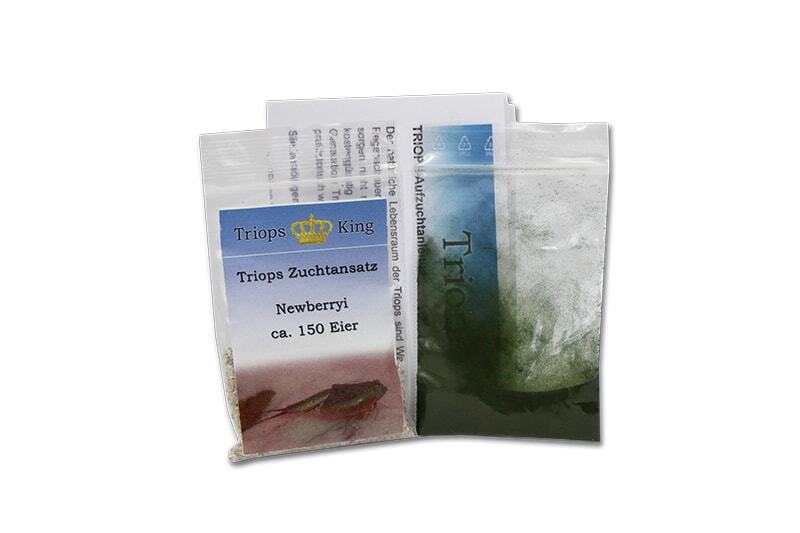 Triops Newberryi Tadpole Shrimp Starter Kit Ultra by Triops King | feed ...