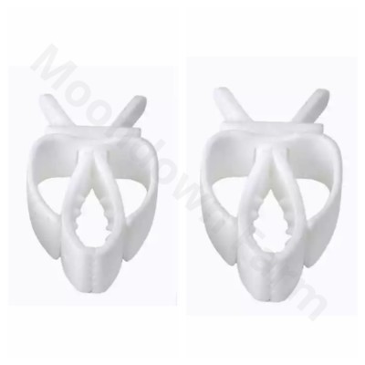 2 x Cuttlefish Holder, Cuttlebone, Millet Spray, Veg & Treat Clip For ...