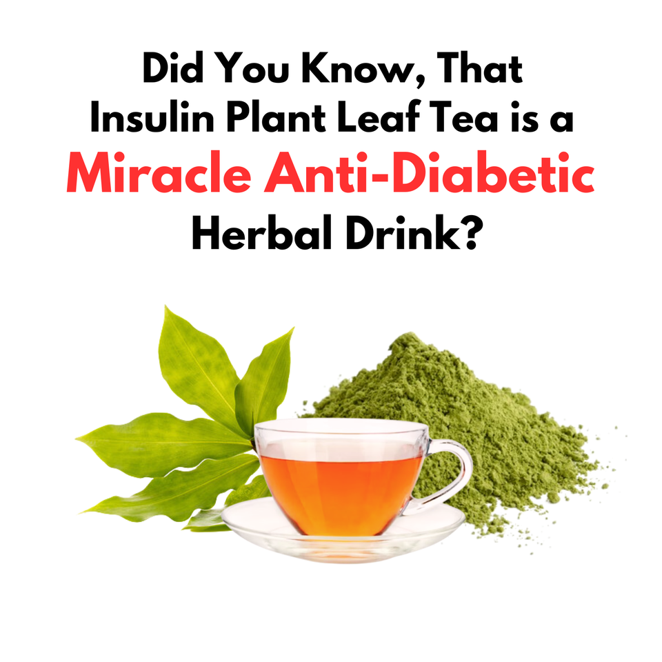 Insulin Plant Leaf Powder Costus Igneus Leaves Tea Thebu Diabetic ...