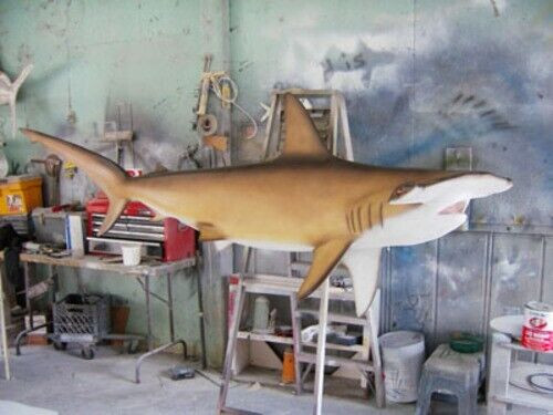 Golden Hammerhead Shark