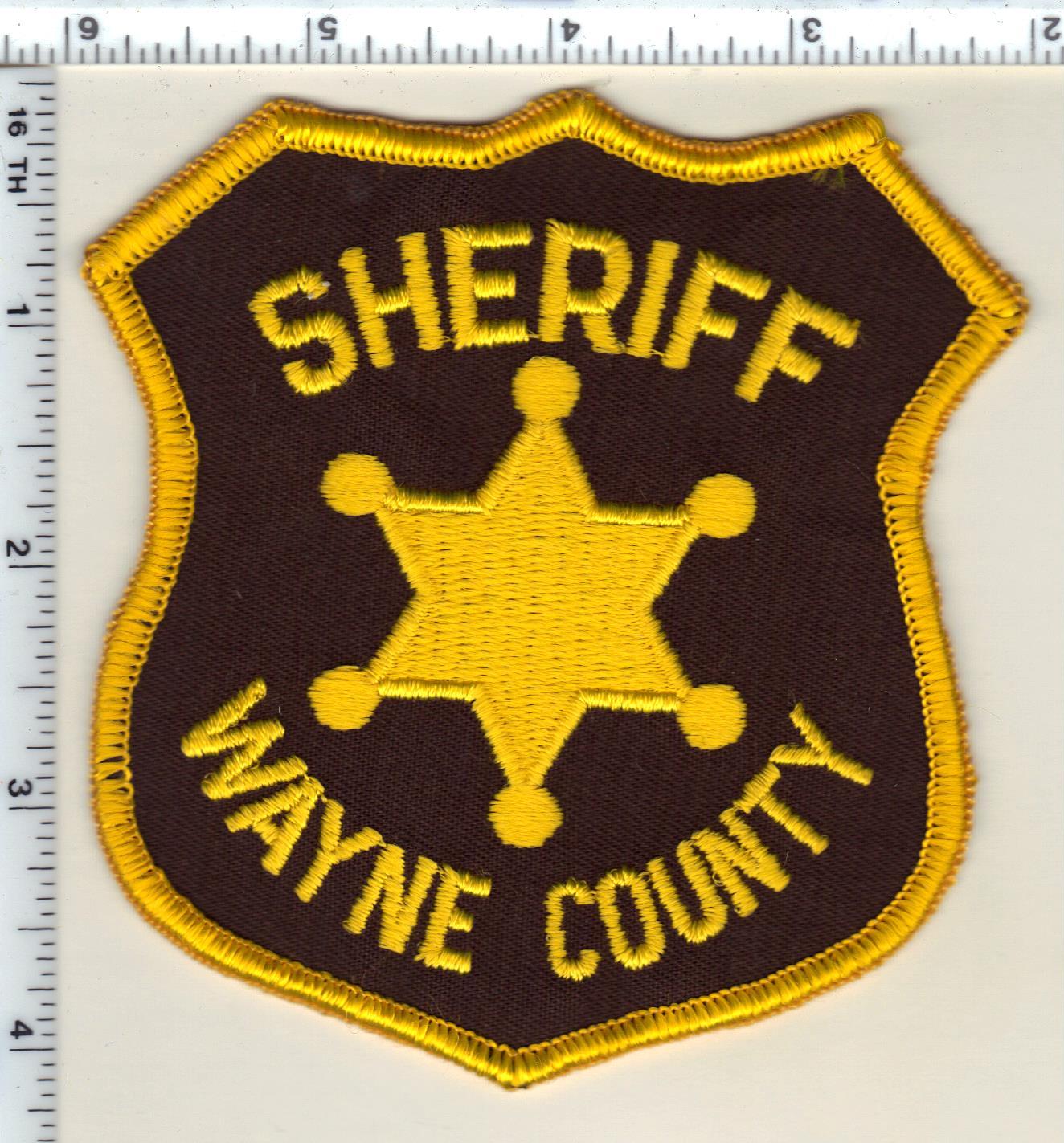 Wayne County Sheriff (Michigan) Shoulder Patch from 1989 | eBay