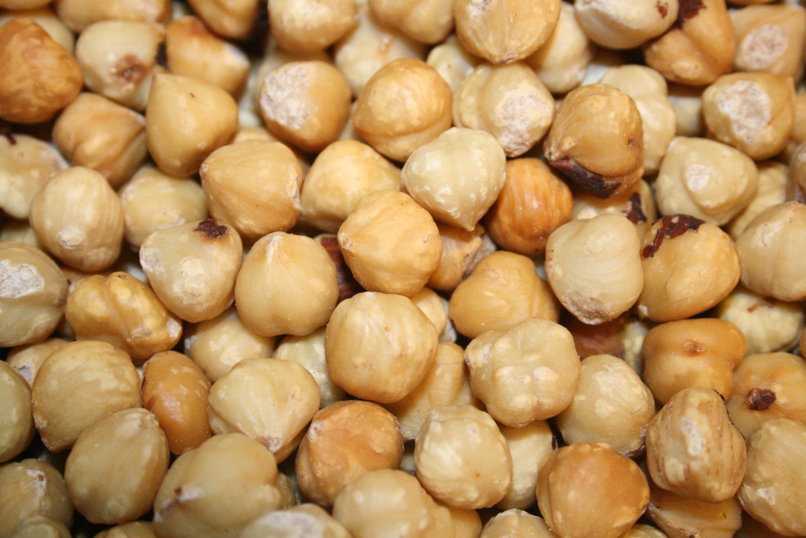 HAZELNUTS (FILBERTS) BLANCHED ROASTED UNSALTED, 1LB | eBay