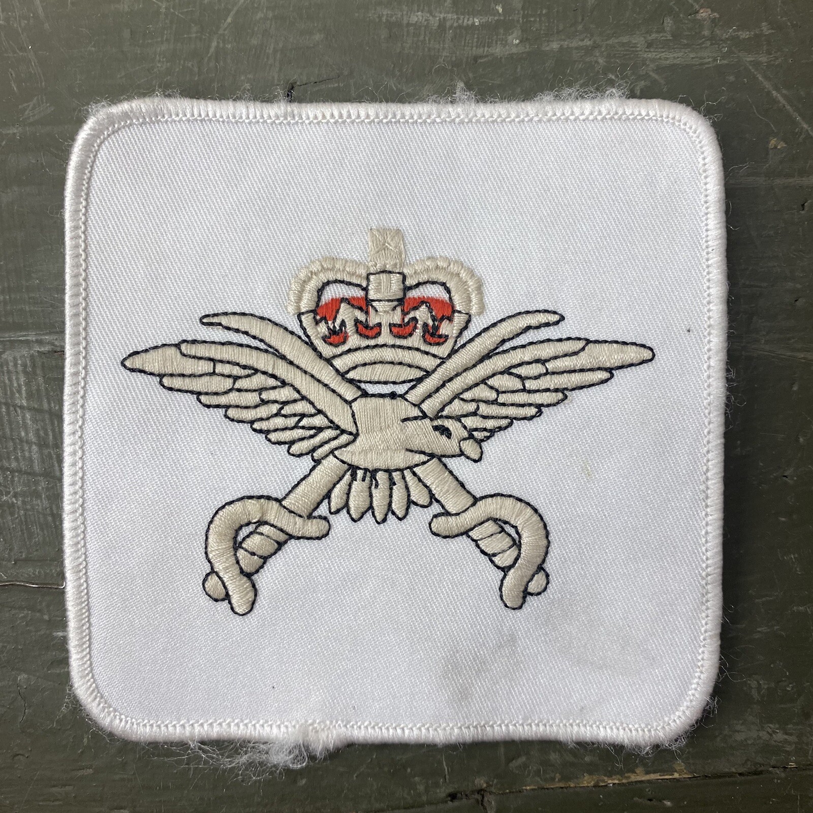 Physical Training Instructor (PTI) Royal Air Force (RAF) Badge | eBay