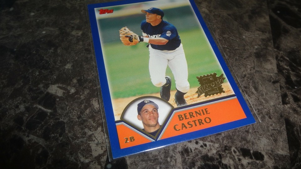 2002 TOPPS # 303 BERNIE CASTRO BASEBALL CARD | eBay
