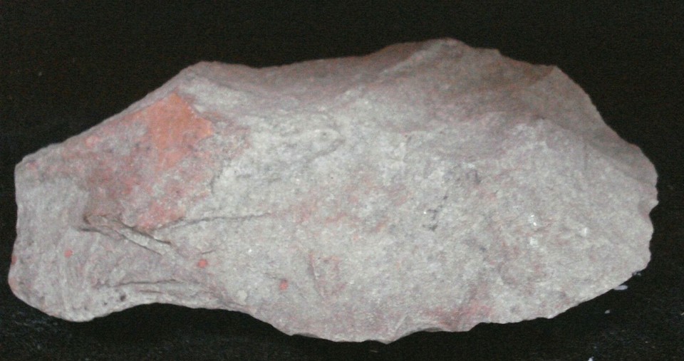 RARE GENIUNE 1600'S NATIVE AMERICAN TUTELO TRIBE STONE AXE / TOOL ...