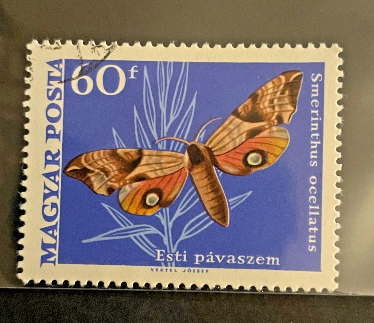 1969 Hungary Magyar Posta Butterflies 60 Filler Postage Stamp F PLH