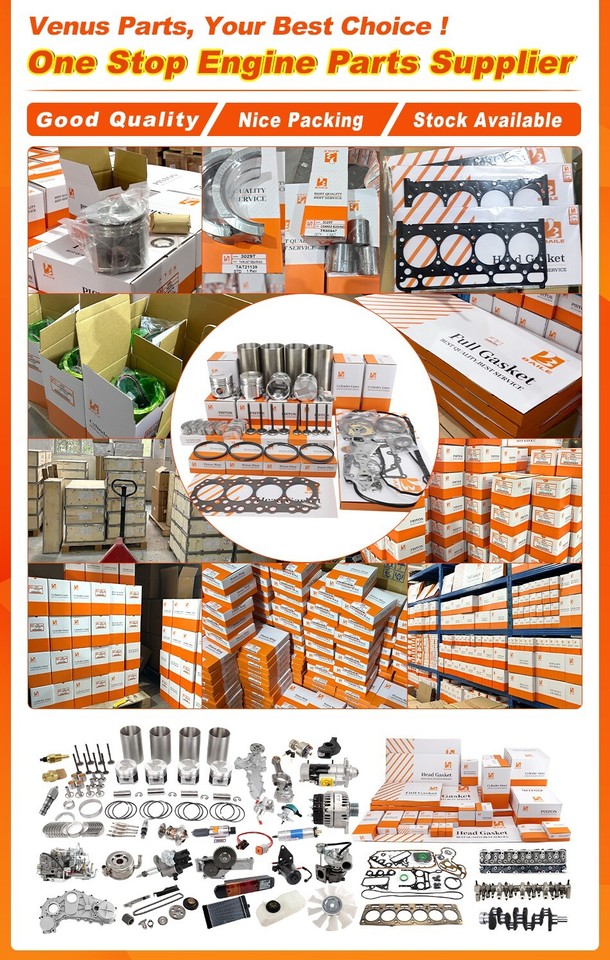 4P10 Timing Chain Kit For Mitsubishi Fuso Engine | China | Timing Kit