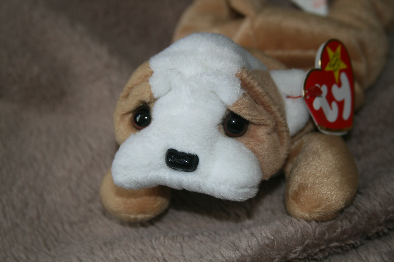 Wrinkles Ty Beanie Babies Bulldog 4103 Retired Preowned | eBay