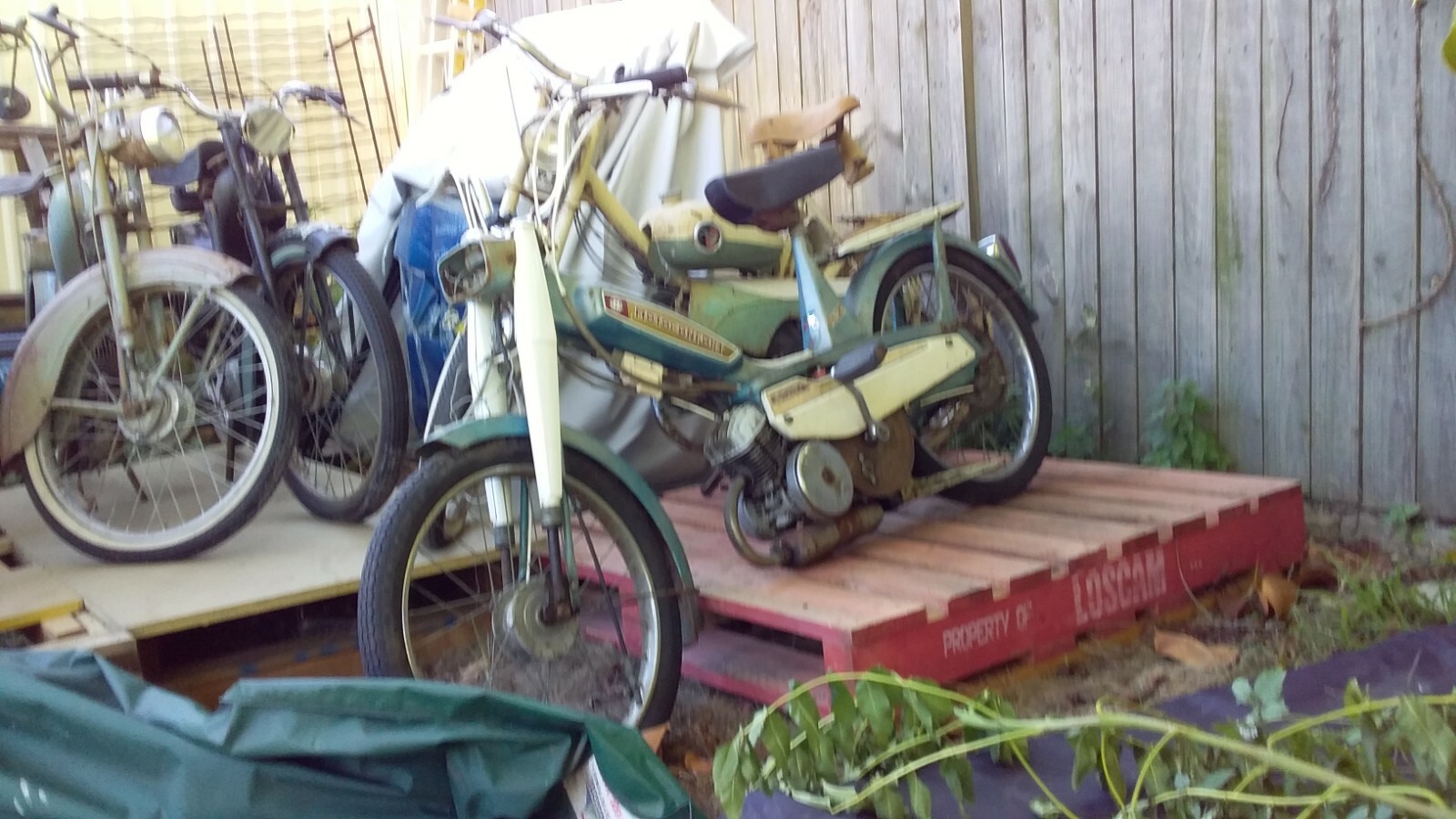 Vintage 1950's 49cc French mopeds- 5 for sale- RELISTED. | eBay Australia