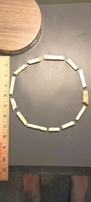 13 Authentic South Texas Paleo-Indian Bone Beads Prehistoric Money | eBay