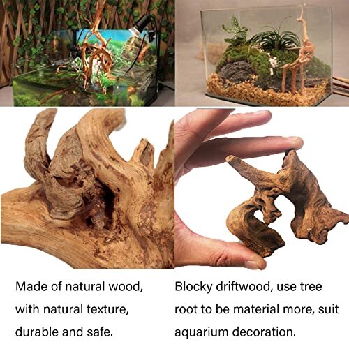 5Pcs Driftwood Branches Aquarium Wood Decoration Natural Fish Tank ...