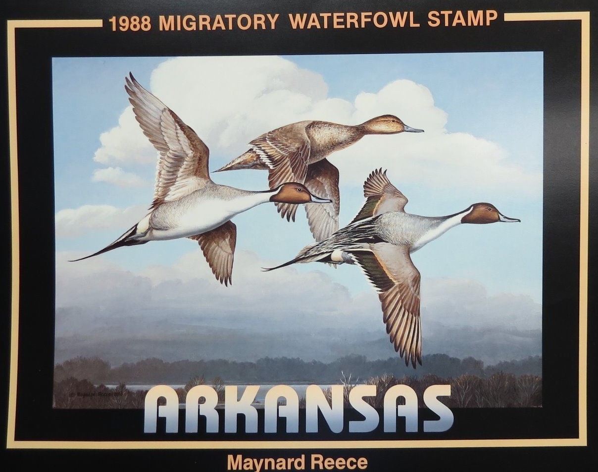 ARKANSAS BY MAYNARD REESE SALE | eBay