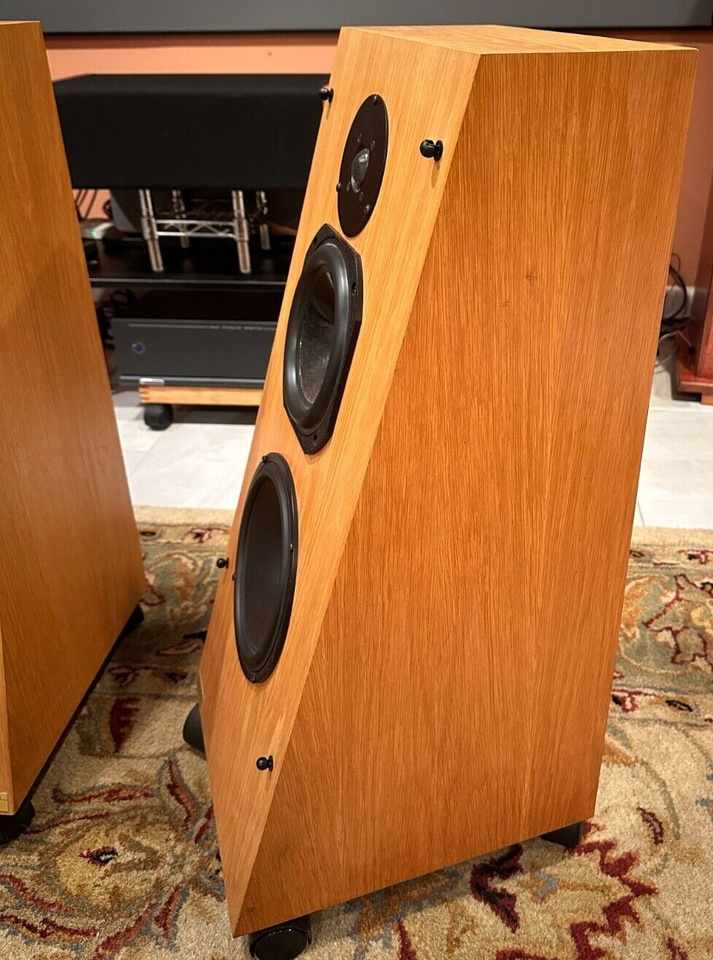 JSE Infinite Slope Model 1 Floor Standing Speakers | eBay