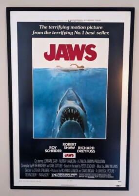 27x41 Custom Movie Poster Frame Genuine UV Filtered Plexiglas*Hollywood ...