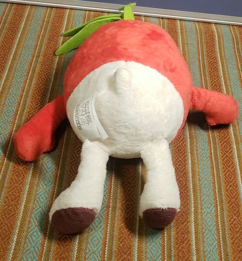 Goodness Gang Body Squad Radish 10" Plush Pre-owned | eBay