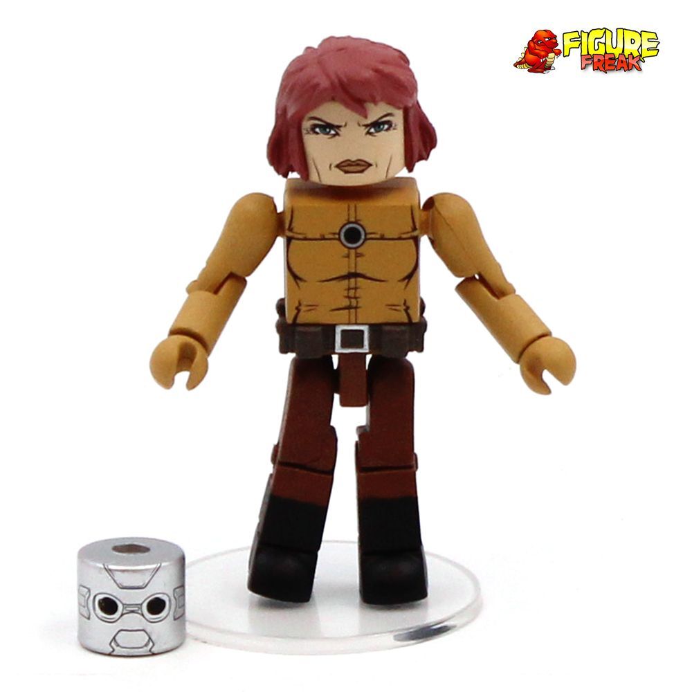 TMNT Teenage Mutant Ninja Turtles Minimates The Last Ronin April O'Neil ...