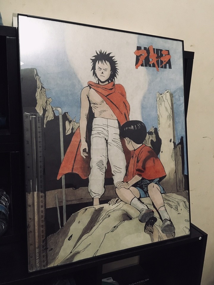 Akira Anime Manga Hand-Drawn Poster Wall Art Drawing (16x20) - Framed ...