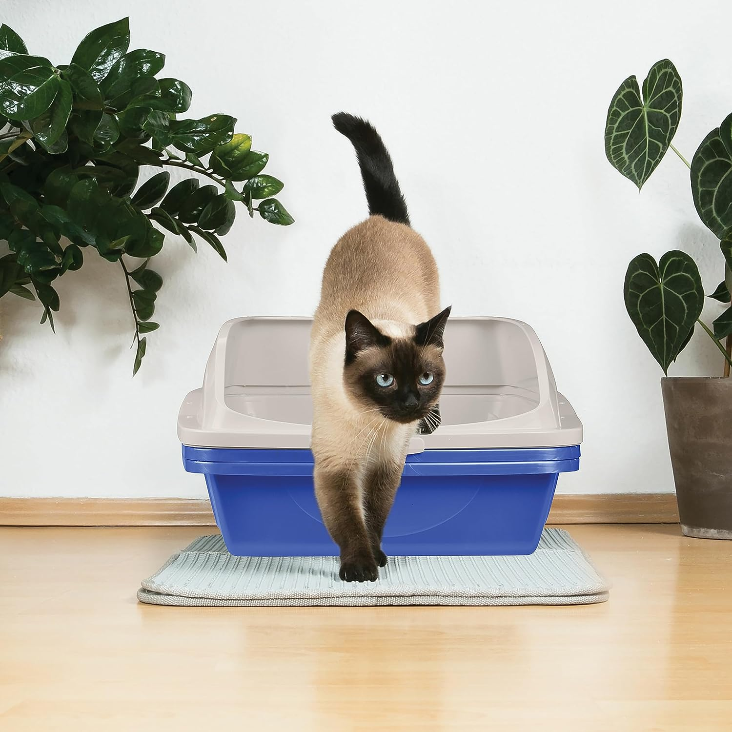 Large Sifting Cat Litter Box Pan Self Clean Slotted Frame Top Scatter ...