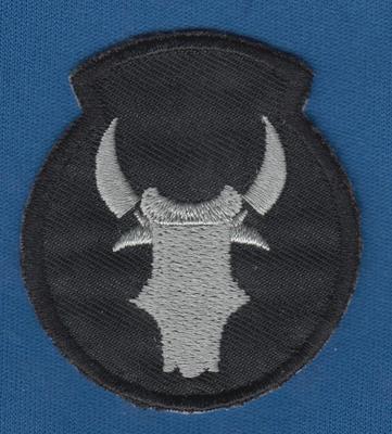 BULL, Special Forces (United States Army), vintage MILITARY PATCH ...