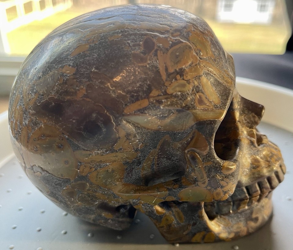 Crystal Skull, Bamboo/Leaf Jasper, 5”, Exquisite Carving, Natural | eBay