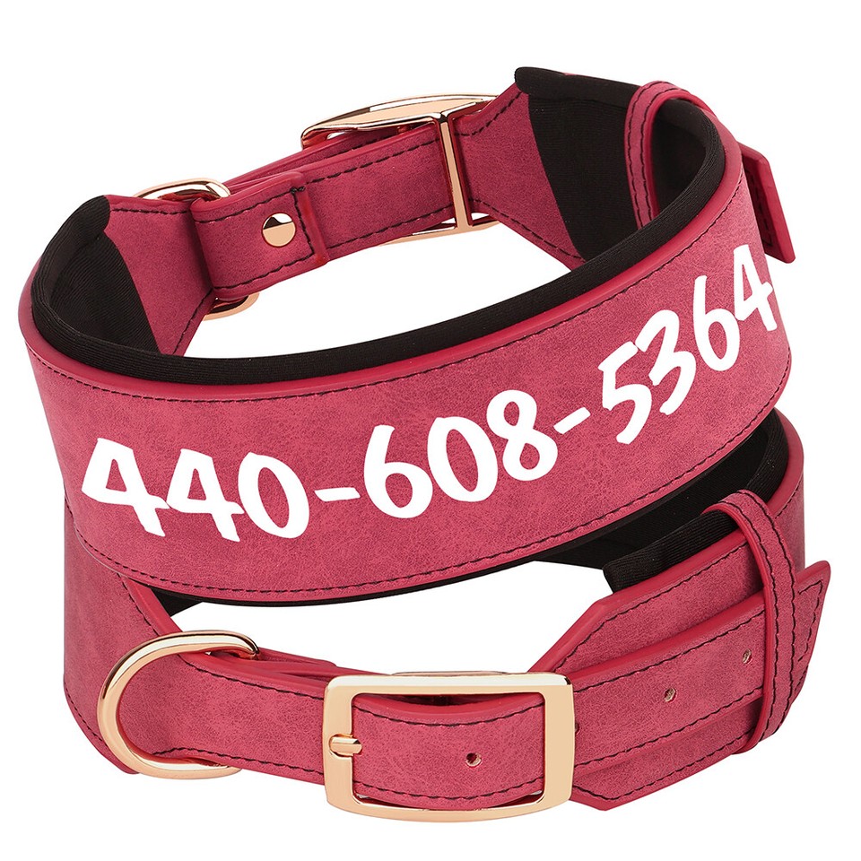 Wide Leather Padded Dog Collar Personalized with Name Rottweiler ...