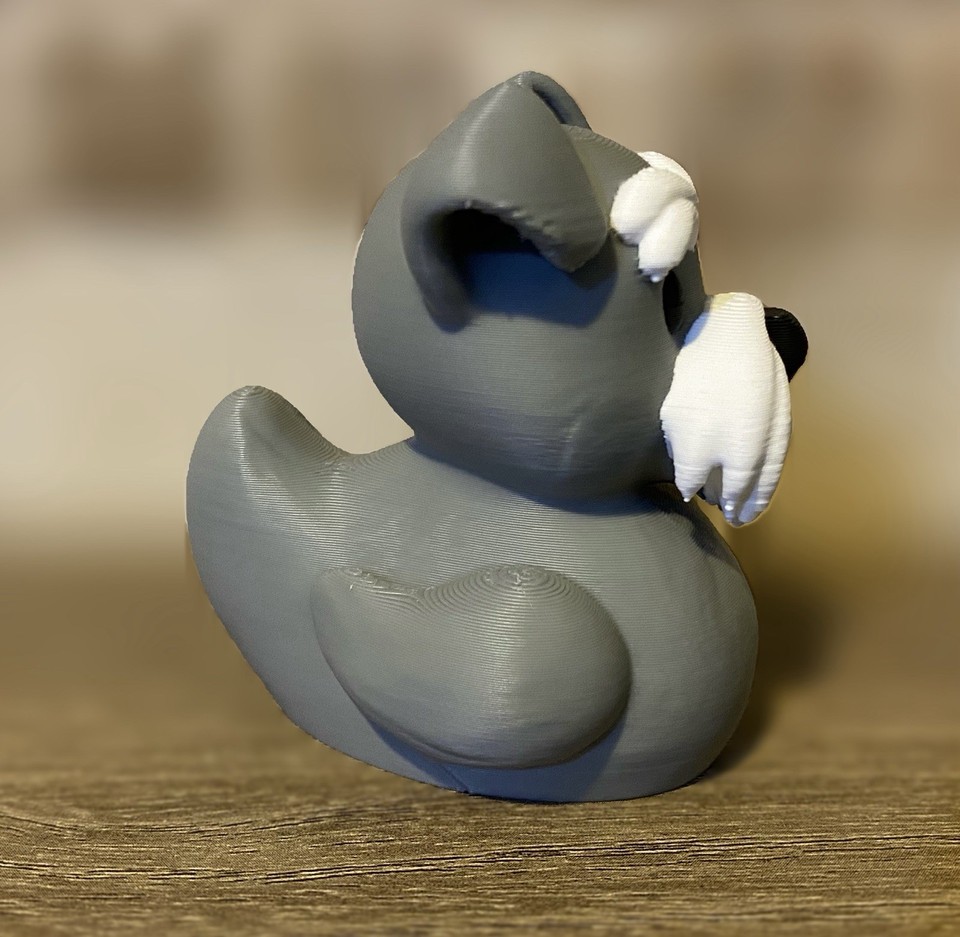 Schnauzer Duck | eBay