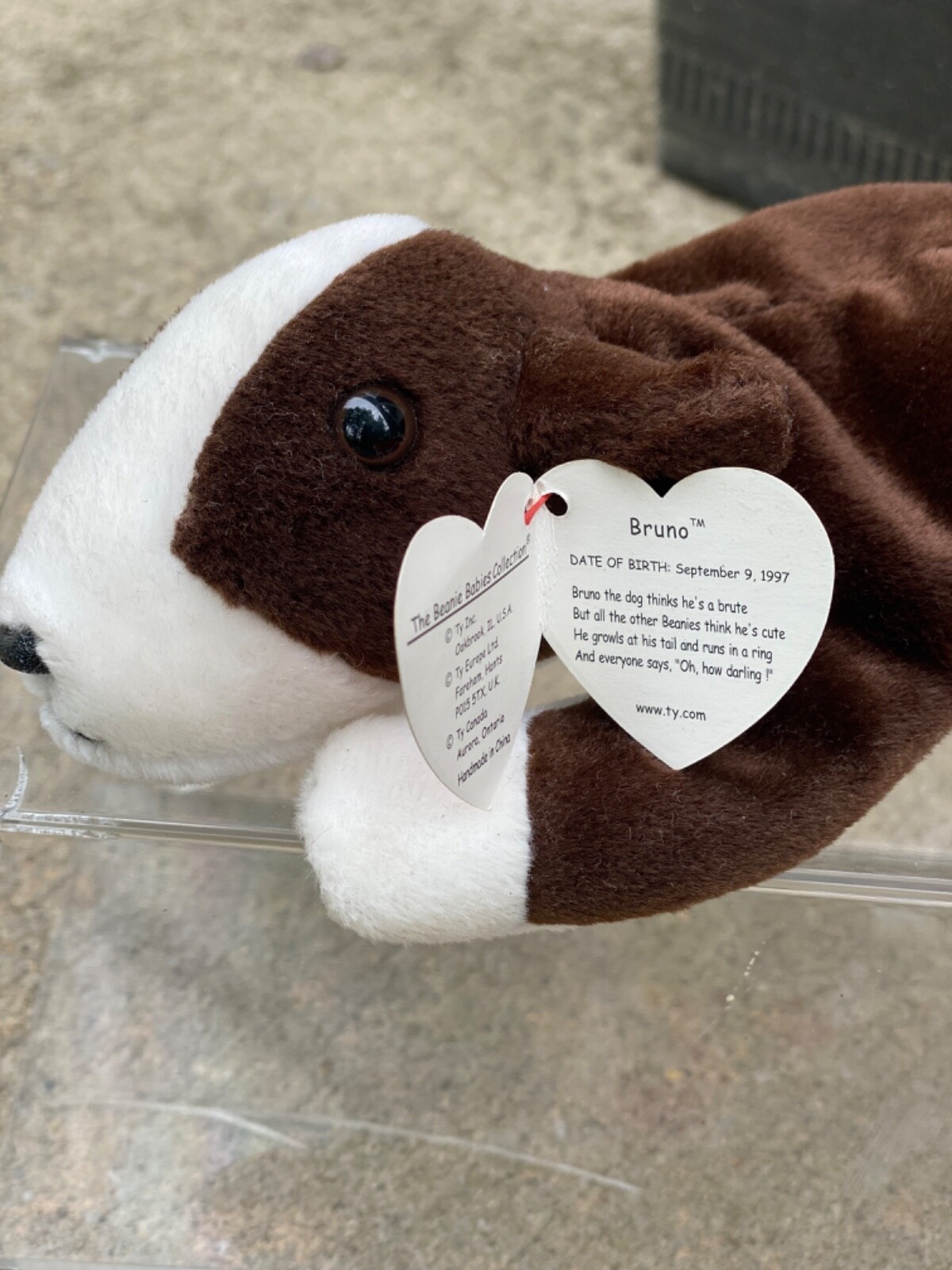 1997 Bruno Ty Beanie Baby | eBay
