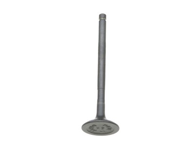 Nakamura 77CH43X Exhaust Valve Fits 1995-2004 Toyota Tacoma 3.4L V6 | eBay