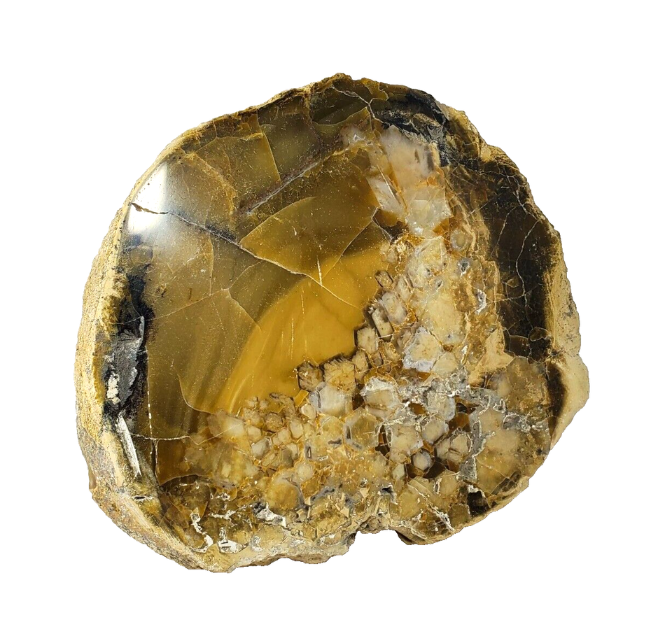 554Gr Rare Natural Petrified Wood Natrolite Opalized Rough Specimen ...
