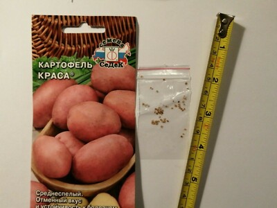 RARE HYBRID POTATO SEEDS - GROW UR OWN HYBRID RED POTATO - THESE ARE ...