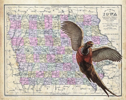Pheasant Hunting Iowa State Map Art Print Vintage Fishing Cabin Wall ...