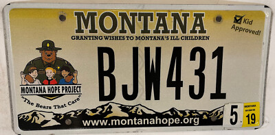 MAKE WISH FOUNDATION PROJECT HOPE license plate Sick Child Hospital ...