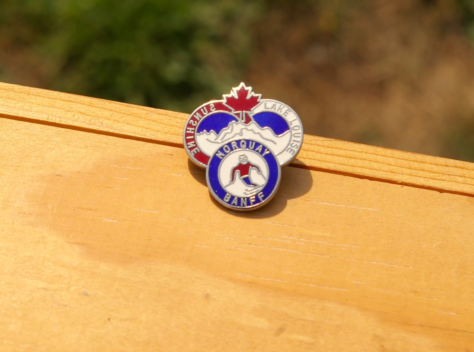 Sunshine Lake Louise Norquay Banff Ski Skiing Metal & Enamel Lapel Pin ...