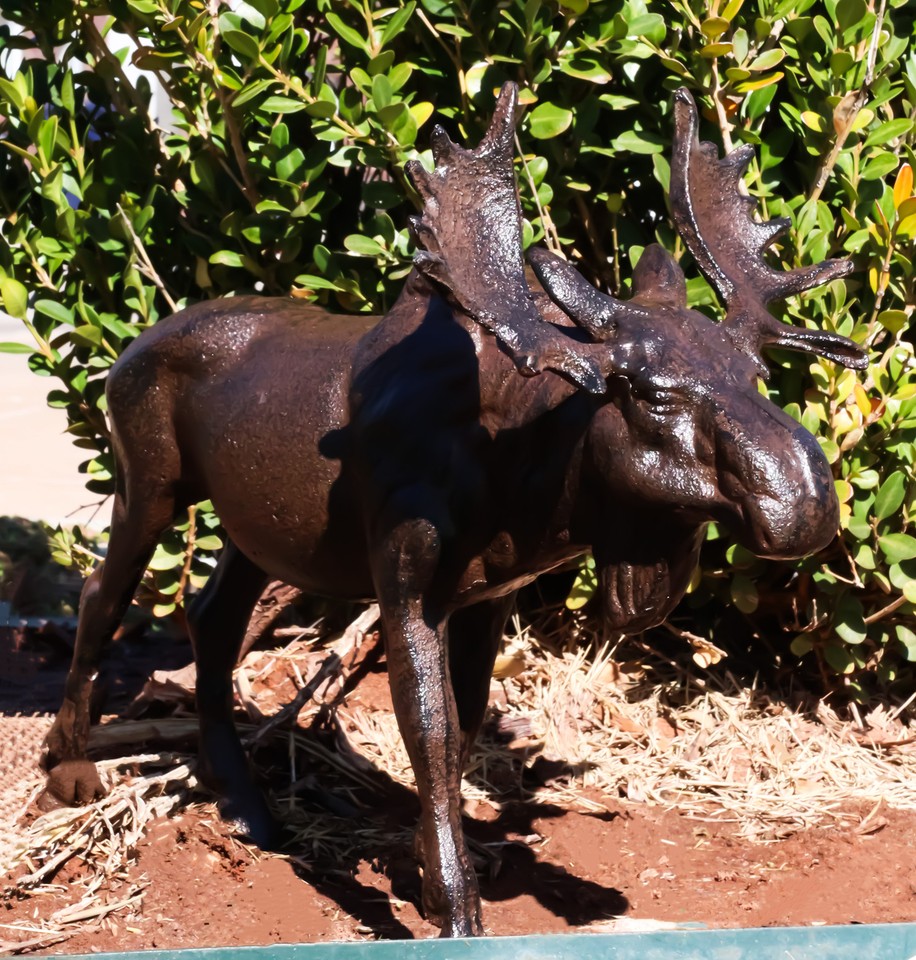 Cast Iron Large Emperor Stag Elk Bull Moose In Bronze Finish Figurine ...